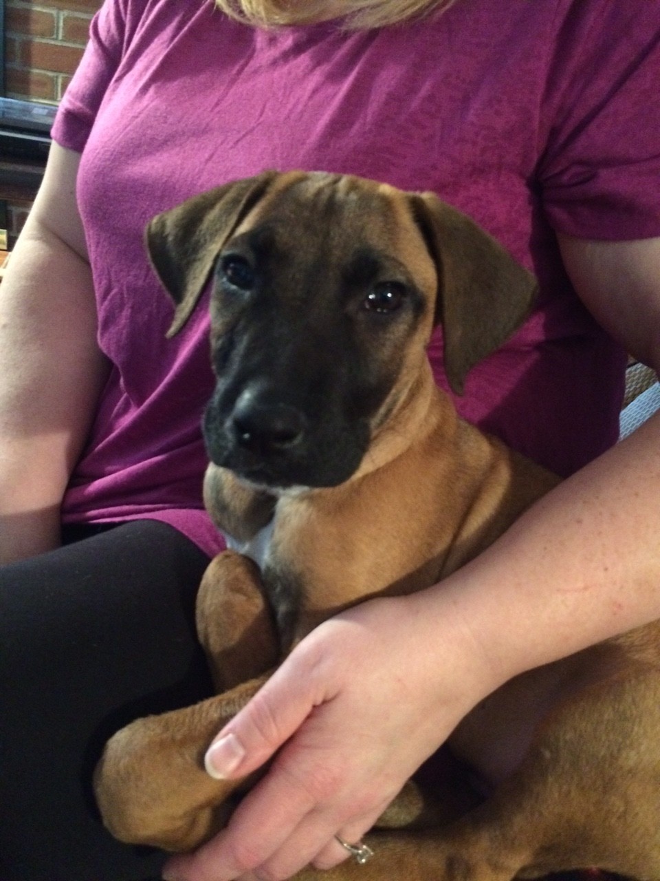 Puppy Born At Meat Farm Was Never Supposed To Leave His Cage