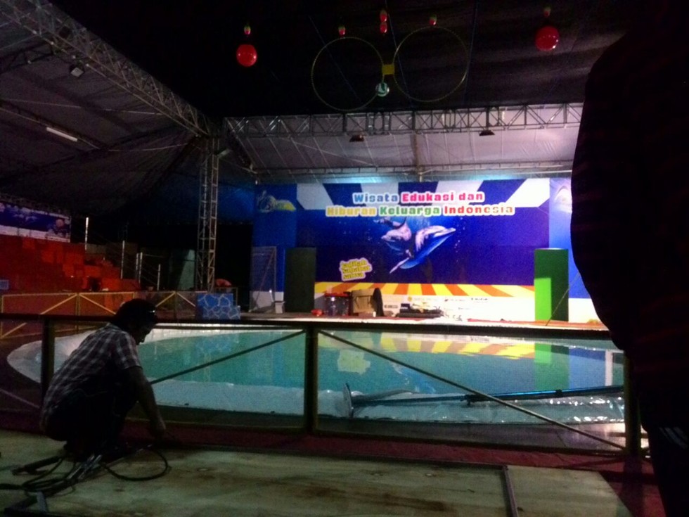 Dolphins Forced To Jump Through Flames In Nightmare Traveling Circuses