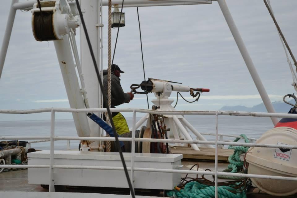 Norway Is About To Begin Controversial Whale Hunt