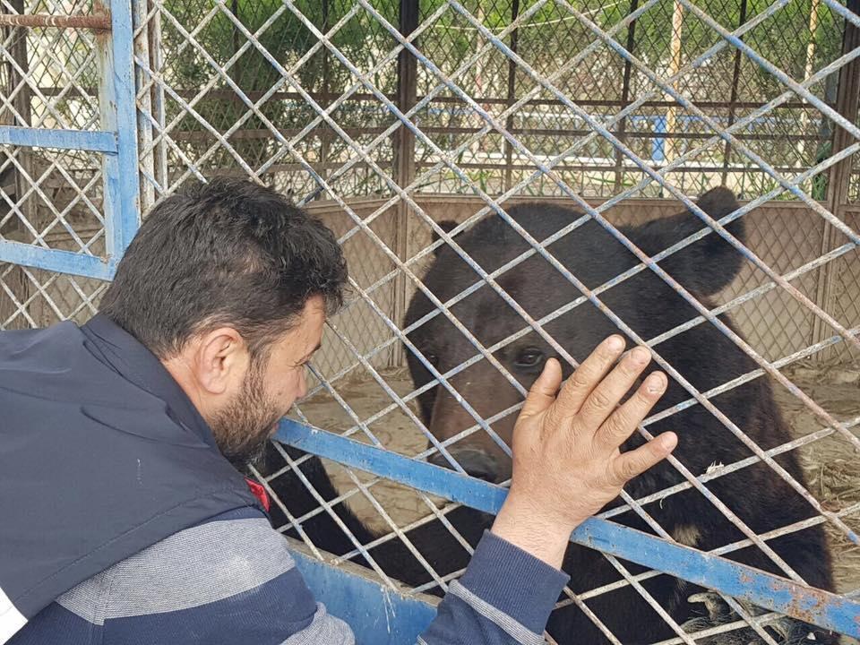 Tigers, Bears, Monkeys Are Starving In Zoo In Aleppo, Syria